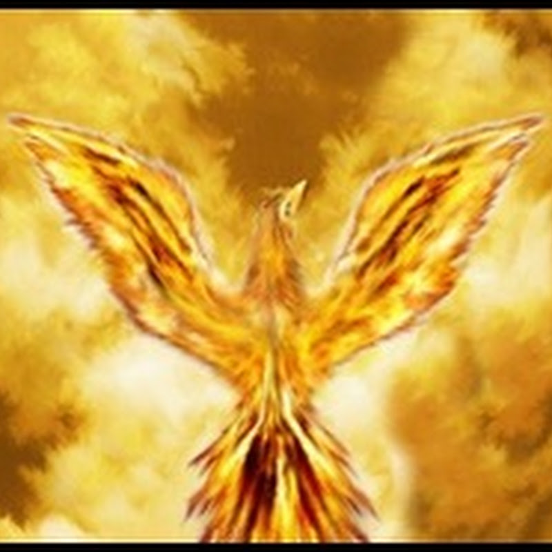 La leyenda del fénix dorado. - loNuestro